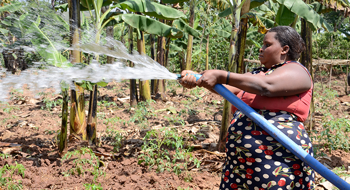 MAAIF | Ministry of Agriculture, Animal Industry and Fisheries